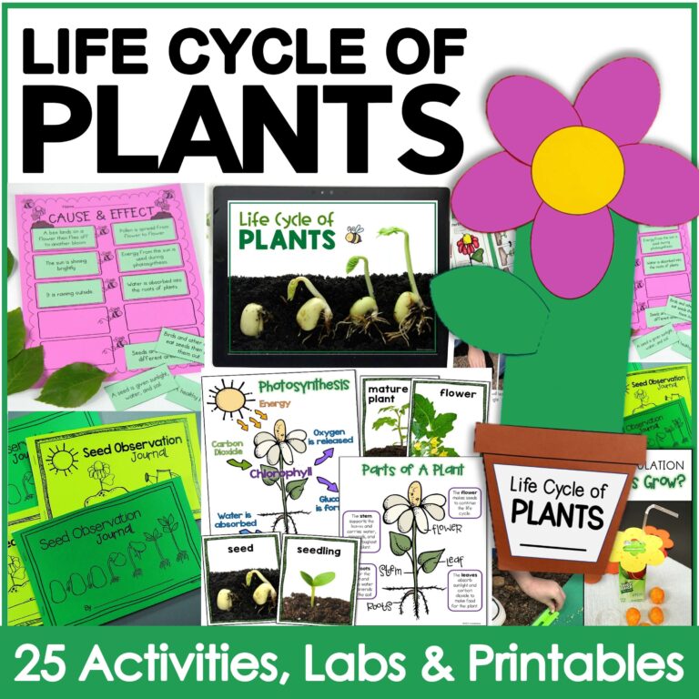 Virtual Field Trips: Teaching Plant Life Cycles in 2nd Grade - Around ...