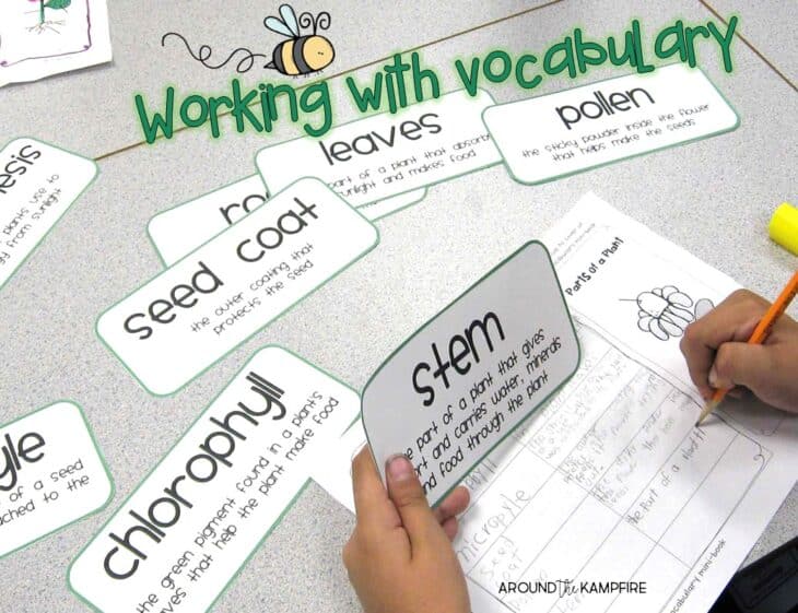 Plant Life Cycle Activities: Writing About Science & A Freebie - Around ...