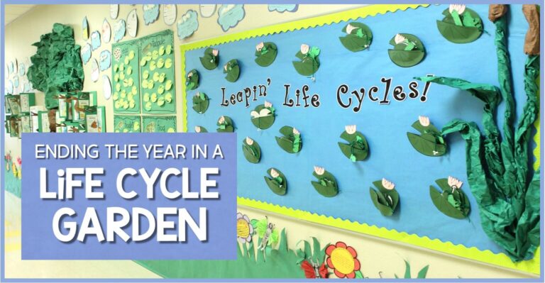 Ending the Year in a Life Cycle Garden - Around the Kampfire