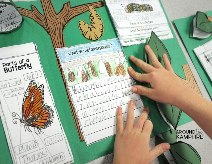 7 Ways Science Lapbooks Benefit Your Students - Around the Kampfire