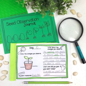 Plant Life Cycle Activities-Fun, Hands-on Science for Kids - Around the ...