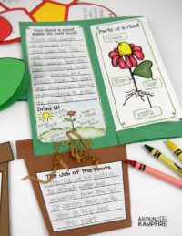 Plant Life Cycle Activities-Fun, Hands-on Science for Kids - Around the ...