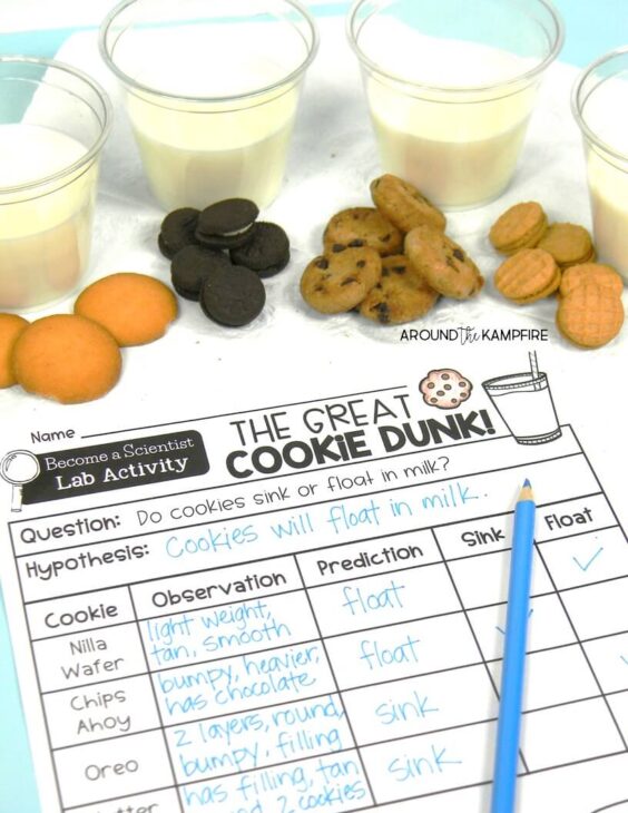 4 Things to Teach in Science at the Beginning of the Year - Around the ...