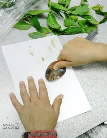 Chlorophyll Paintings: Incorporating Art in Science - Around the Kampfire