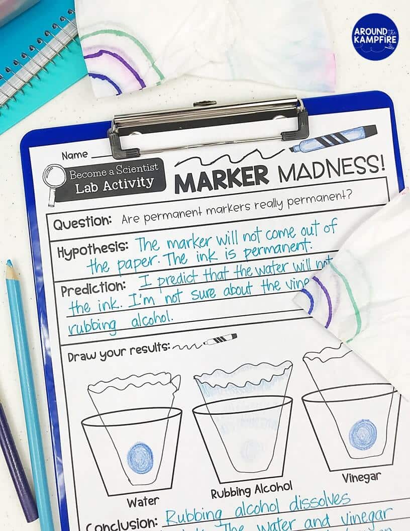 What is Science? Activities to Introduce Science in Your Elementary ...