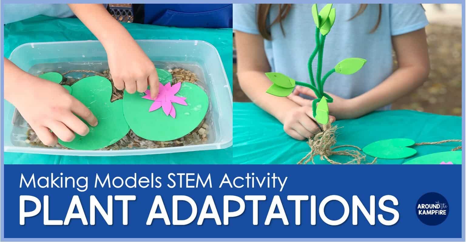 Plant STEM Activities For Kids Making Models Of Adaptations Around Plant STEM Activities For Kids Making Models Of Adaptations Around
