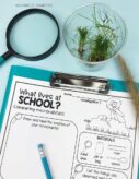 Hands-on Habitats Activities for Second Grade Scientists - Around the ...