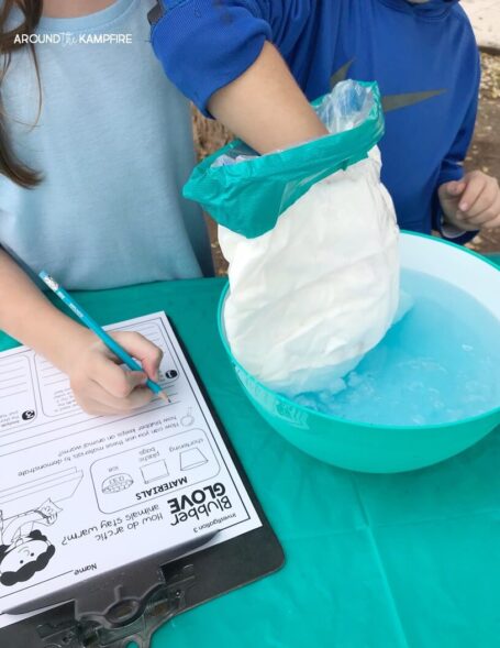 Arctic Animal Adaptations: Blubber Science Experiment for Kids - Around ...