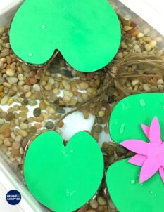 Plant STEM Activities for Kids: Making Models of Adaptations - Around ...