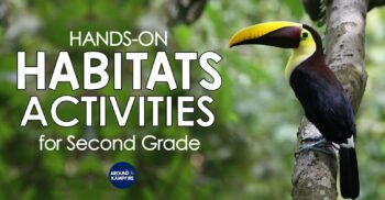 Hands-on Habitats Activities for Second Grade Scientists - Around the ...