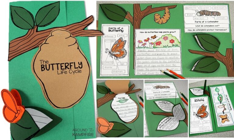 7 Ways Science Lapbooks Benefit Your Students - Around the Kampfire