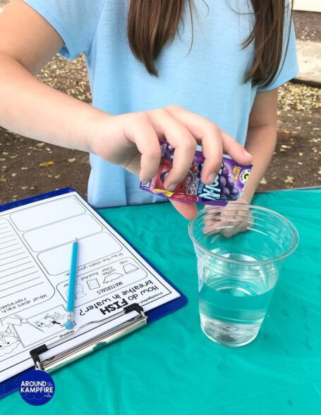 How Do Fish Breathe Underwater? Ocean Animal Adaptations Activity ...