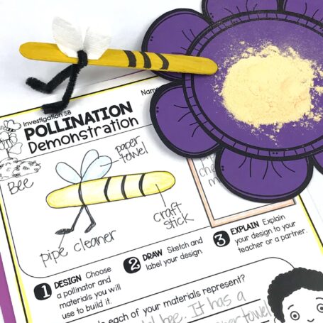 Pollination STEM Activity - Around the Kampfire