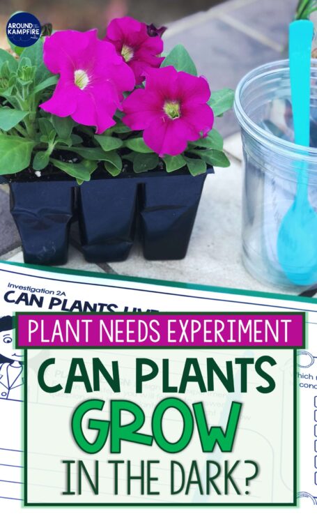 Plant Needs Experiment: Can Plants Grow in the Dark? - Around the Kampfire