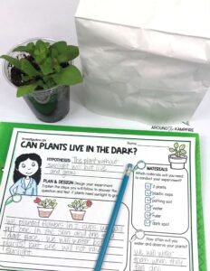 Plant Needs Experiment: Can Plants Grow in the Dark? - Around the Kampfire