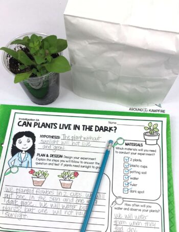 Plant Needs Experiment: Can Plants Grow in the Dark? - Around the Kampfire