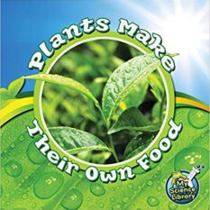 14 Best Plant Life Cycle Books for Kids - Around the Kampfire