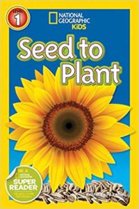 14 Best Plant Life Cycle Books for Kids - Around the Kampfire