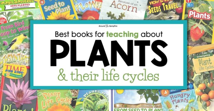 14 Best Plant Life Cycle Books for Kids - Around the Kampfire