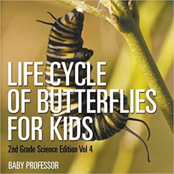 21 Butterfly Life Cycle Books For Kids - Around the Kampfire