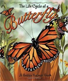 21 Butterfly Life Cycle Books For Kids - Around the Kampfire