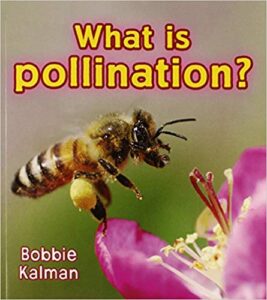 14 Best Plant Life Cycle Books for Kids - Around the Kampfire