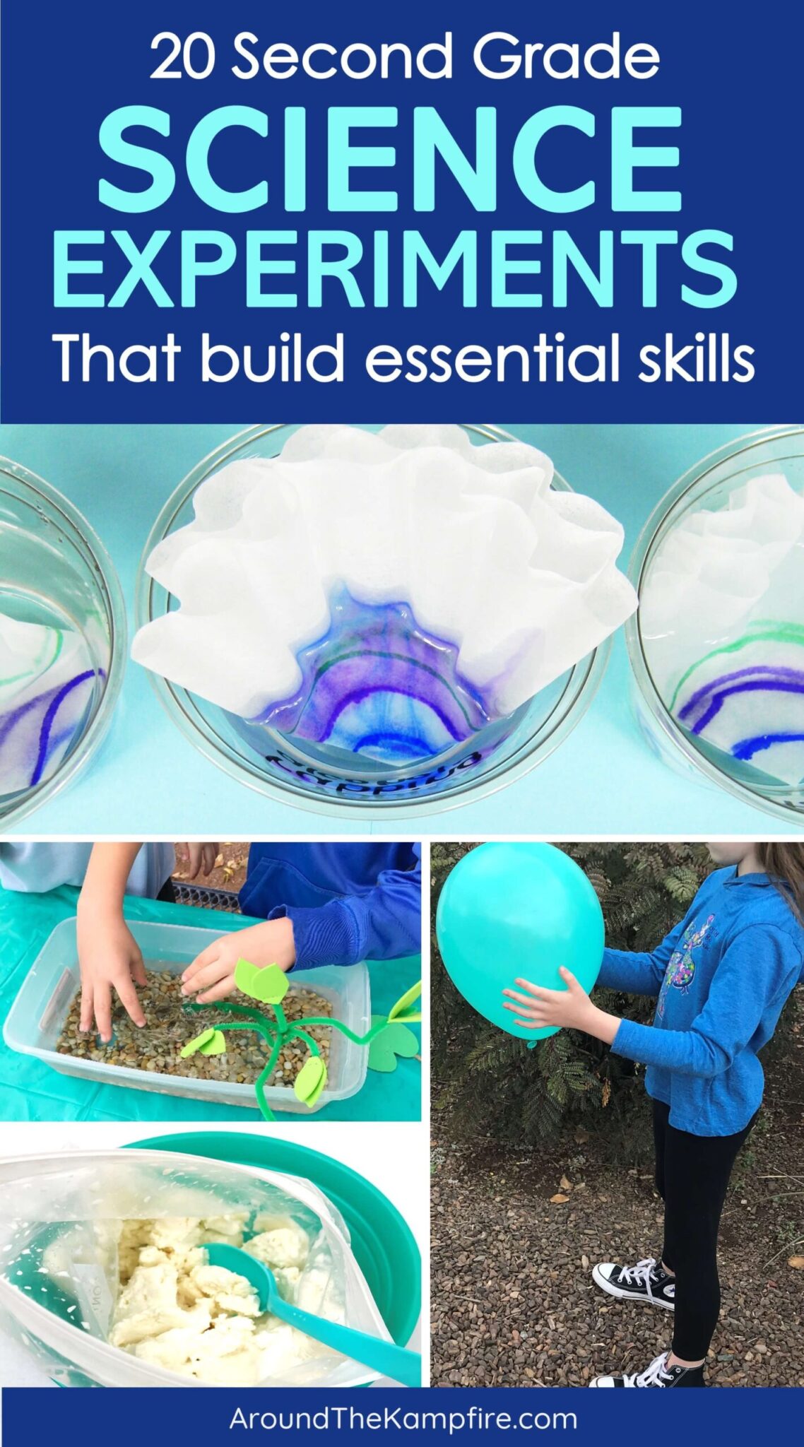 10 Easy Inherited Traits Activities for 3rd Grade - Around the Kampfire