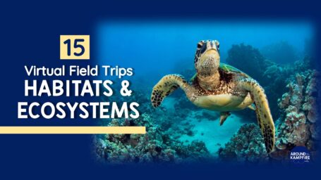Animal Life Cycle Activities: 5 Virtual Field Trips for Kids - Around ...