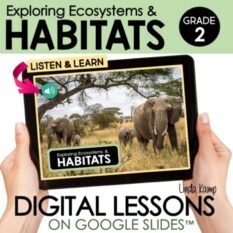 Habitats and Ecosystems 2nd Grade Science Lesson Plans