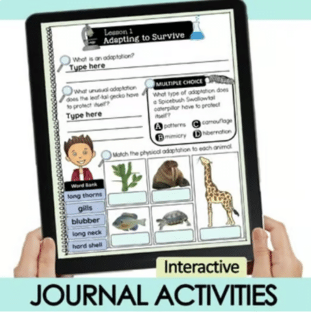 Environment, Survival and Fossil Evidence Digital Science Unit