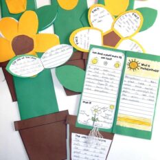 6 Creative Spring Writing Activities for Second Grade - Around the Kampfire