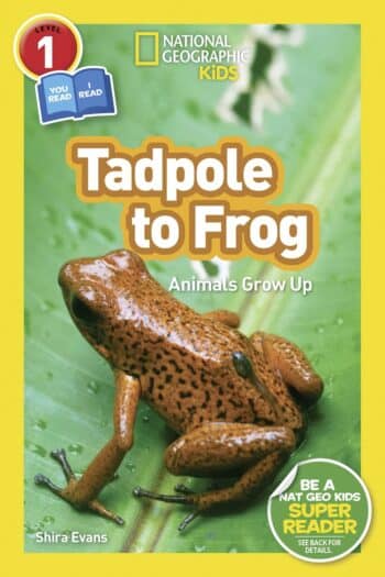 15 Books and Videos to Teach the Life Cycle of a Frog for Kids - Around ...