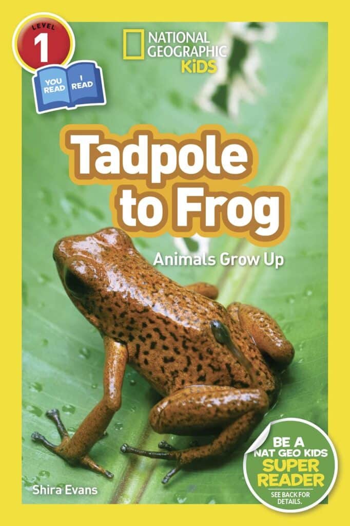 15 Books and Videos to Teach the Life Cycle of a Frog for Kids - Around ...
