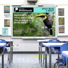 Environments and Survival Science Activities for 3rd Grade