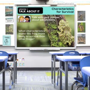 Environments and Survival Science Activities for 3rd Grade