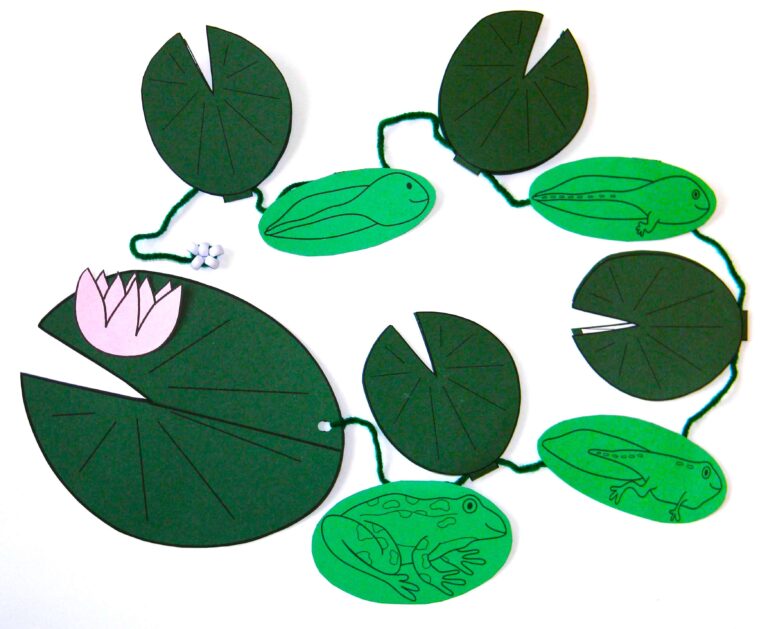 5 Frog Life Cycle Activities That Are Perfect For Spring - Around the ...