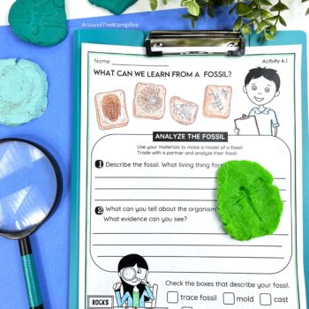 3rd Grade Fossil Record Activities & Fossil Evidence Lesson Plans ...