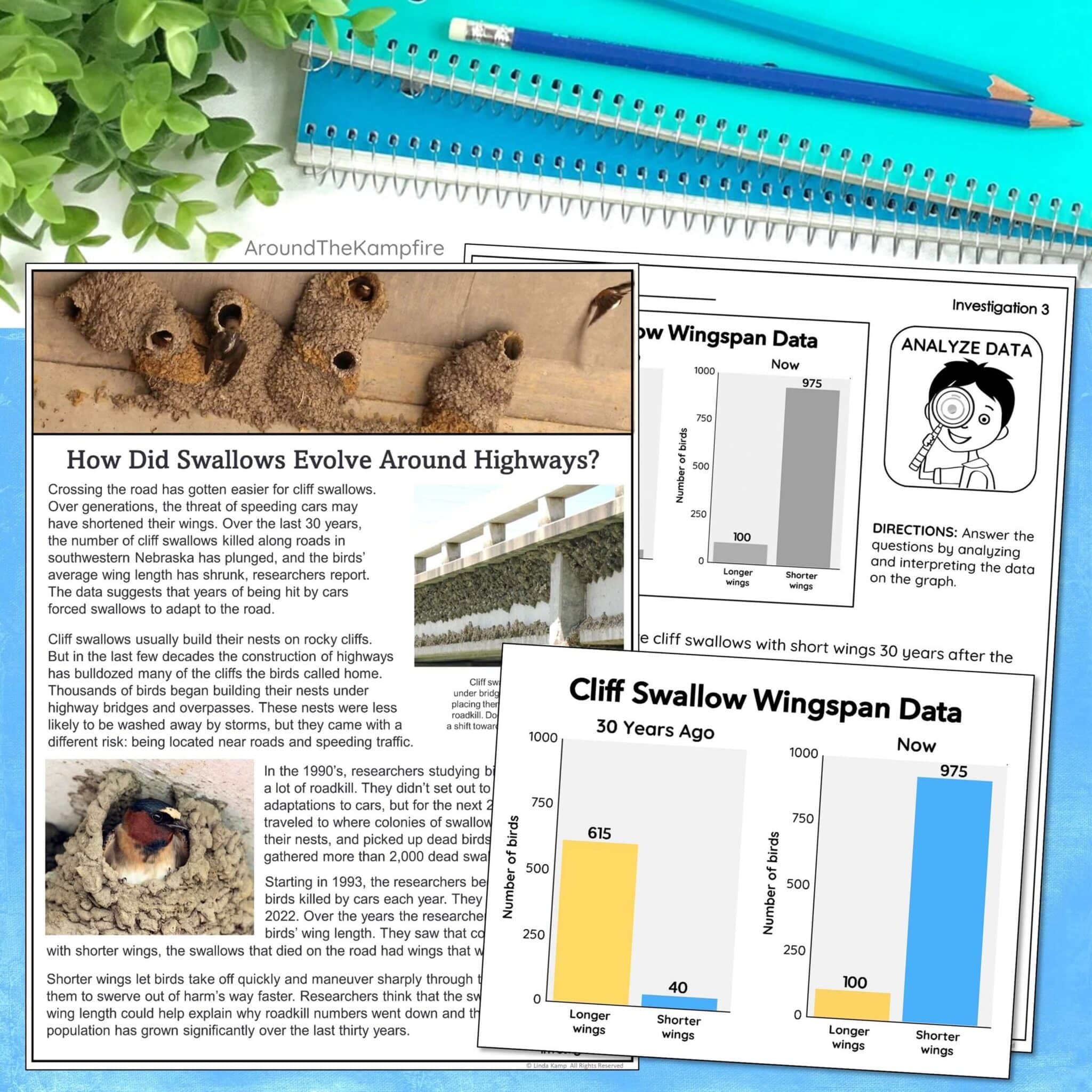 Environments and Survival Science Activities for 3rd Grade