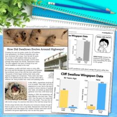 Environments and Survival Science Activities for 3rd Grade