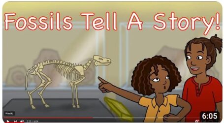5 Fun Books & Videos On Fossil Evidence for Third Grade - Around the ...