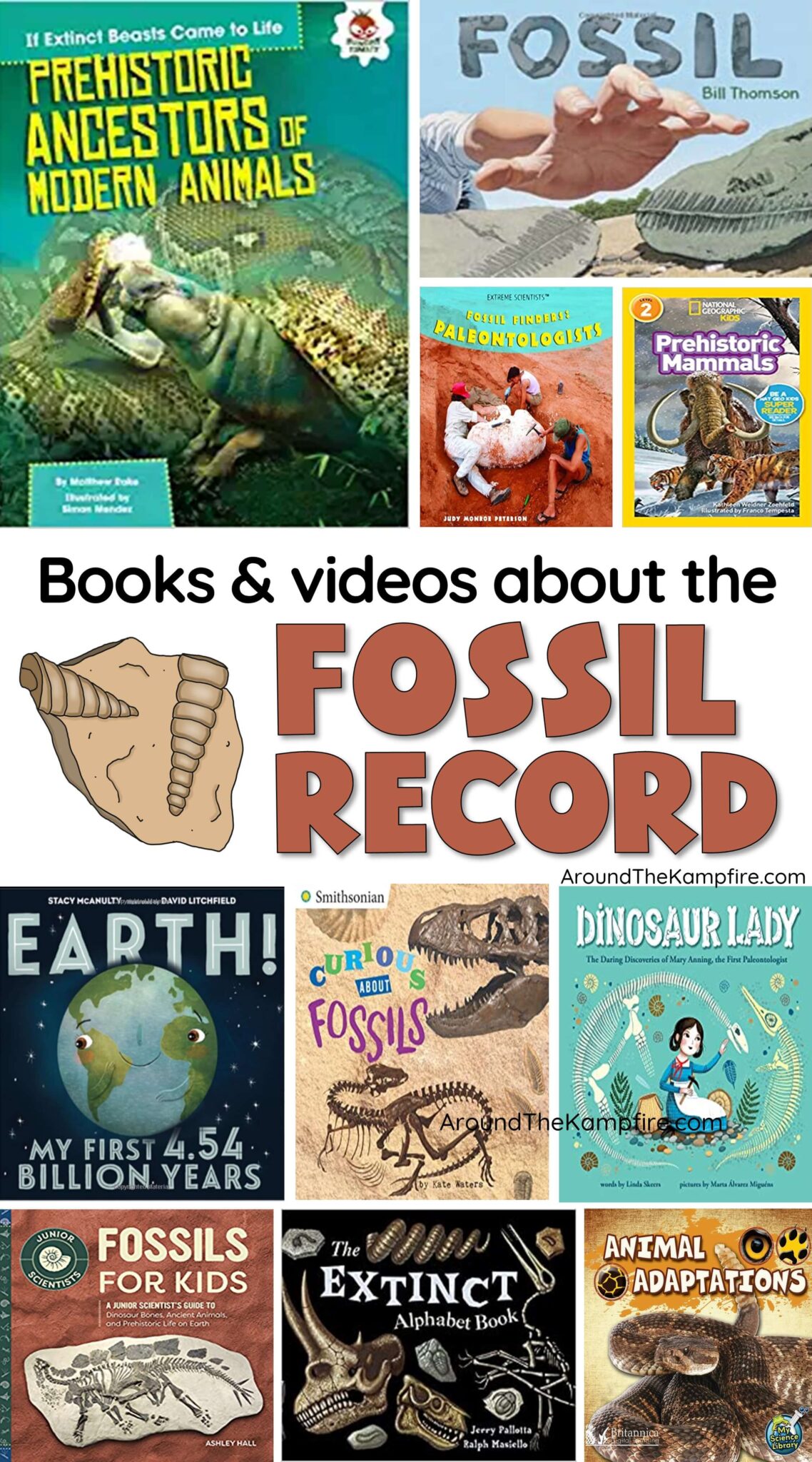 5 Fun Books & Videos On Fossil Evidence for Third Grade - Around the ...
