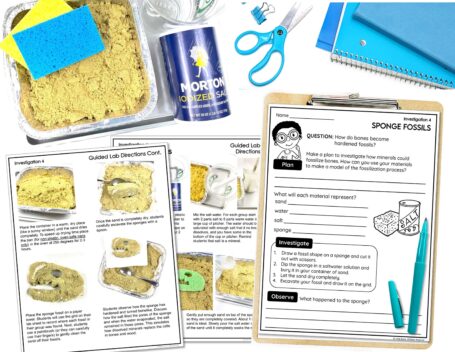 Easy Fossil Experiment for 3rd Grade - Around the Kampfire