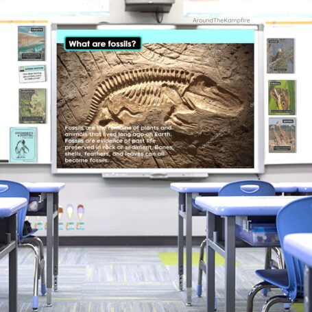 3rd Grade Fossil Record Activities & Fossil Evidence Lesson Plans ...