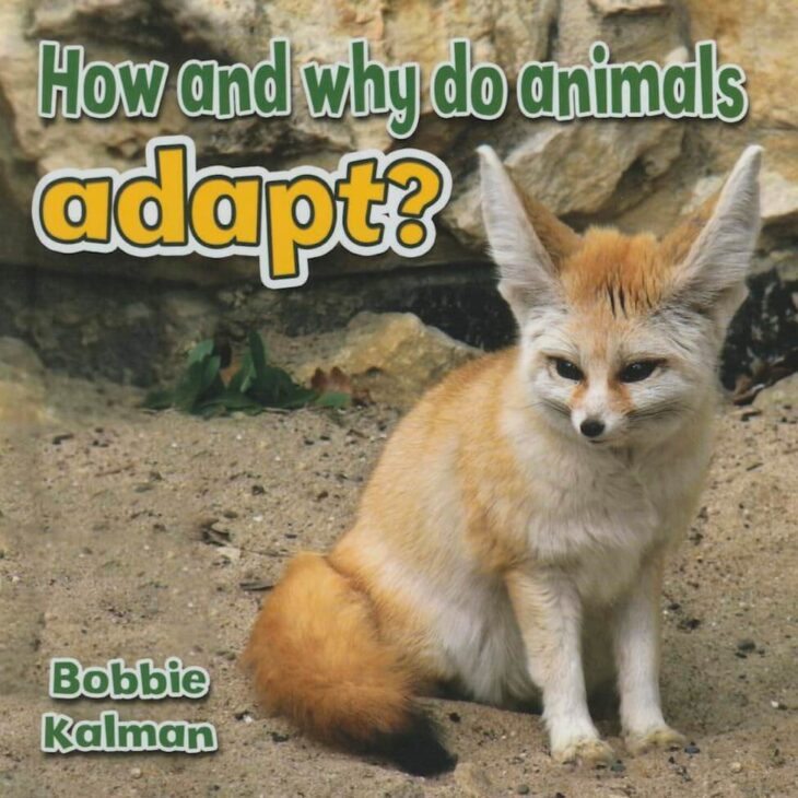 Habitats Books for Kids - Around the Kampfire