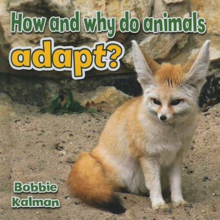 Habitats Books for Kids - Around the Kampfire