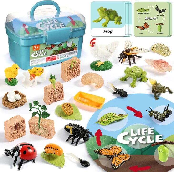 Science Supplies for Elementary Teachers on Amazon - Around the Kampfire